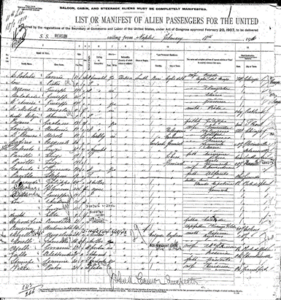 Immigration Records Search | Statue of Liberty & Ellis Island